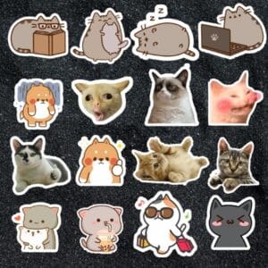 Top 50+ Mẫu Sticker Hài Hước, Vui Nhộn Được Nhiều Người Thích - In Sắc Màu
