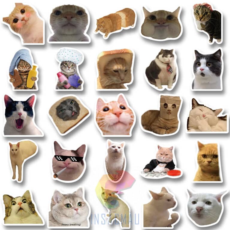 60+ Mẫu Sticker Mèo Cute, Dễ Thương Được Yêu Thích Nhất - In Sắc Màu