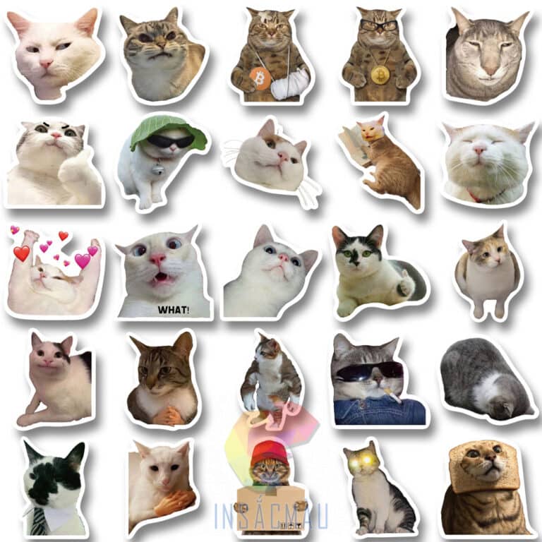 60+ Mẫu Sticker Mèo Cute, Dễ Thương Được Yêu Thích Nhất - In Sắc Màu