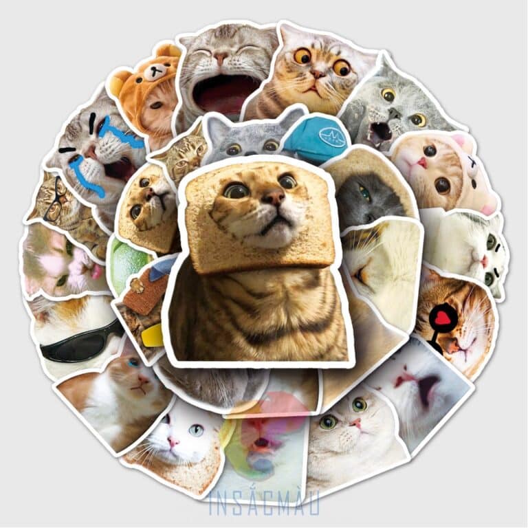 60+ Mẫu Sticker Mèo Cute, Dễ Thương Được Yêu Thích Nhất - In Sắc Màu